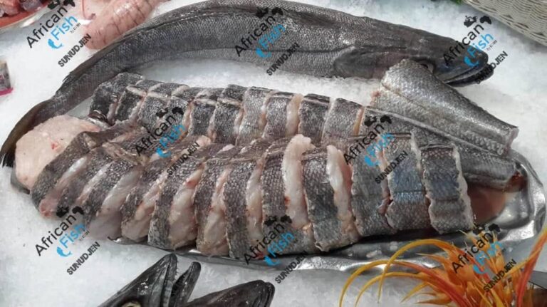 Merlan/Merlue/Morue – La fraîcheur de L'Afrique dans votre assiette!